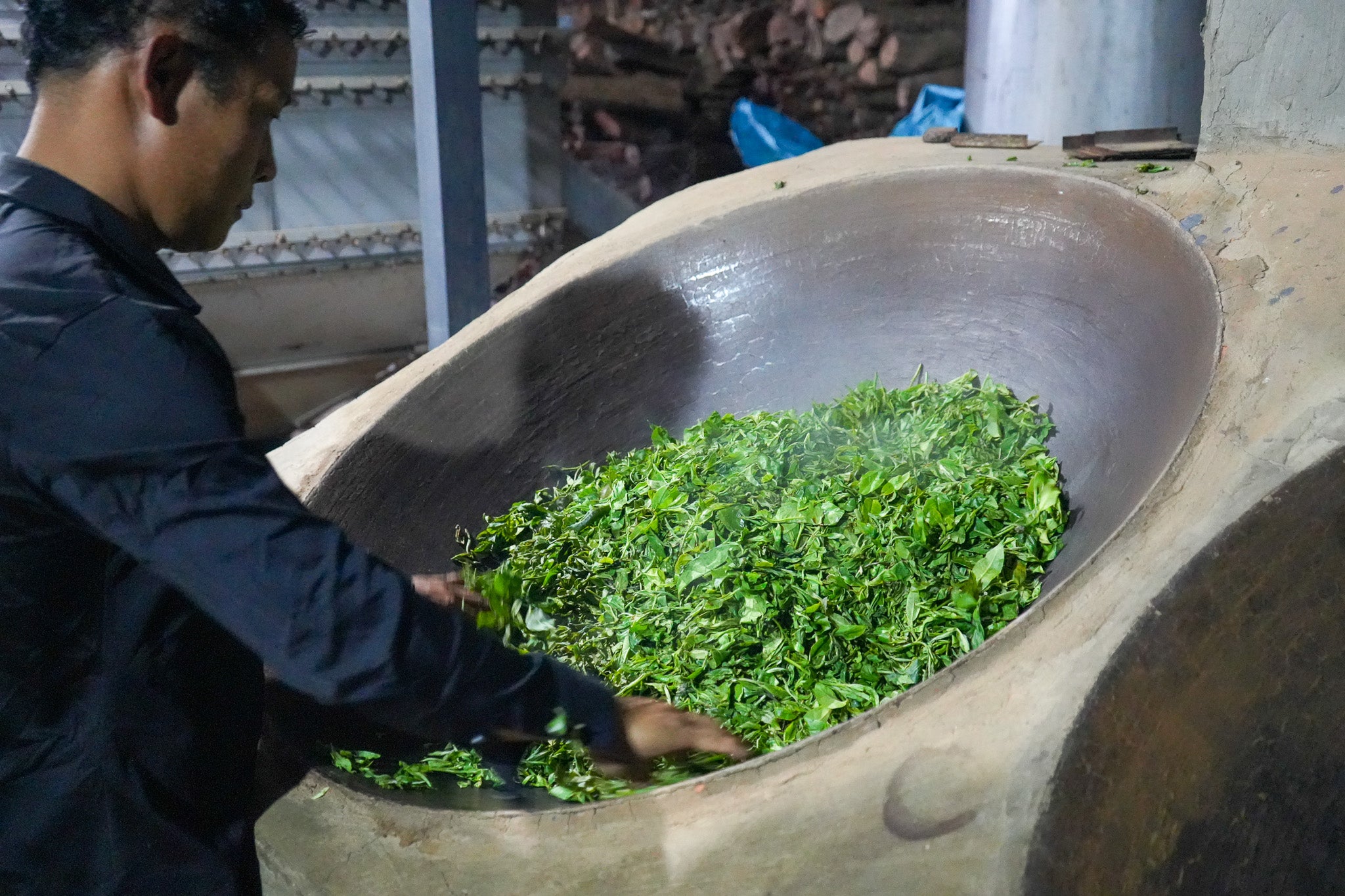 Visit to Ethnic Yi tea farmer Lao Ba in Jingmai Mountain, Lan Cang ...