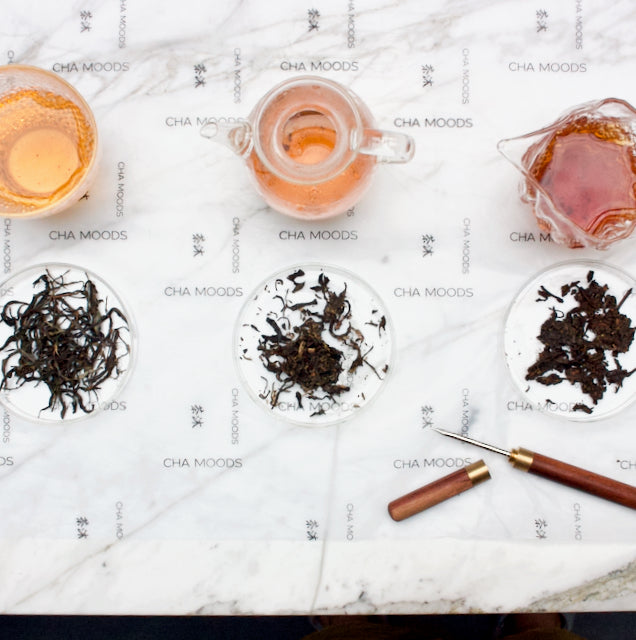 Premium Pu-erh cake | Tea Sampler | Gushu Sheng Pu'er| ChaMoods – Cha Moods